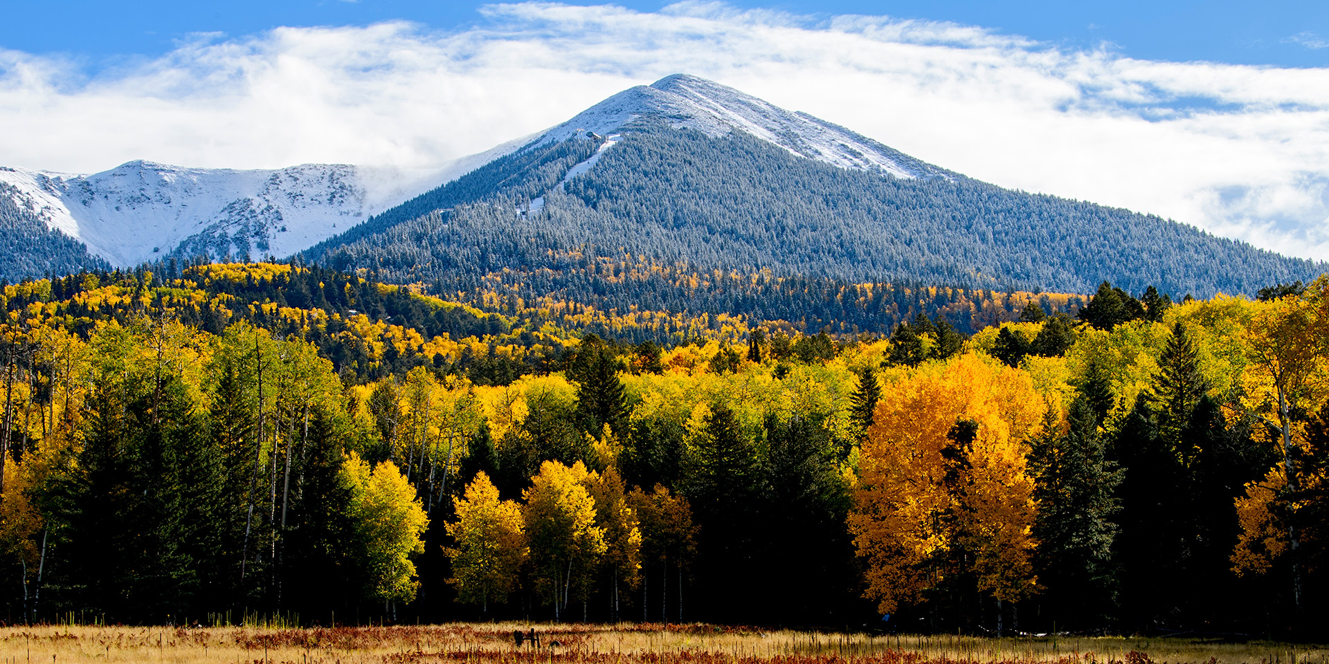 Fall Activities in Arizona: From Festivals to Scenic Trails | Desert ...