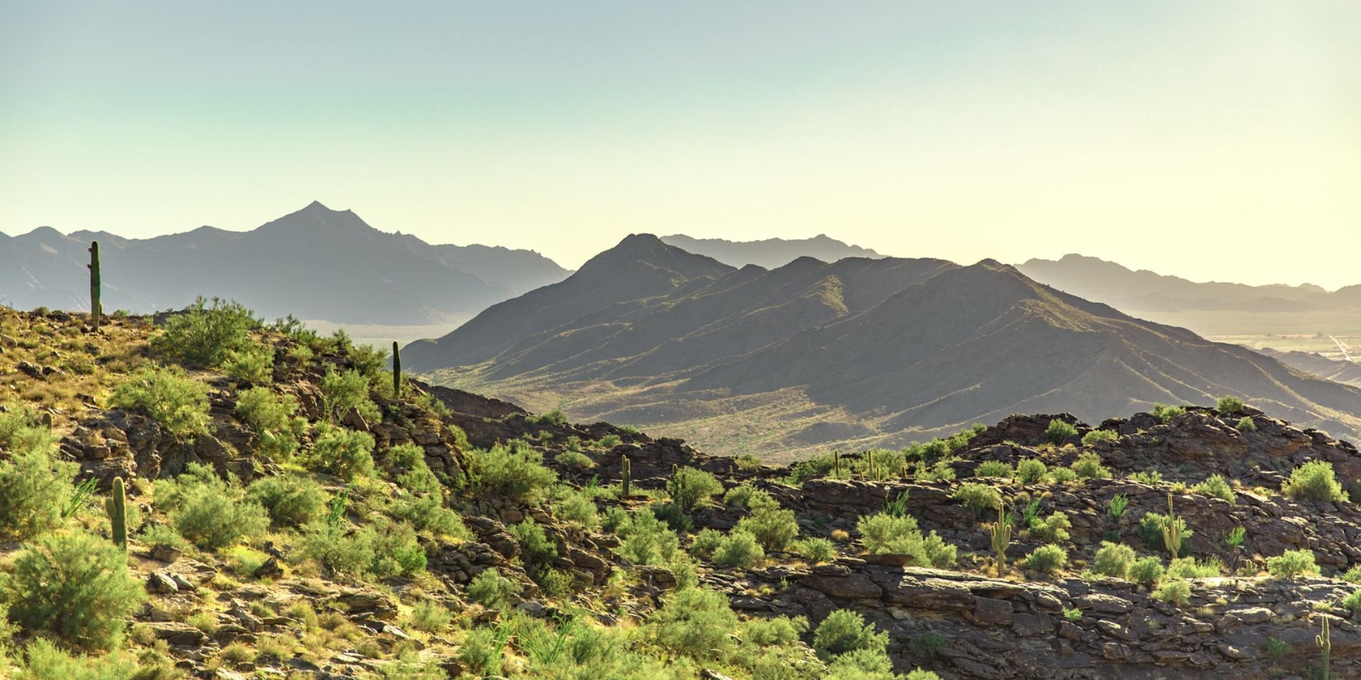 Desert Financial Credit Union Named Top 5 Best Credit Union in Arizona ...